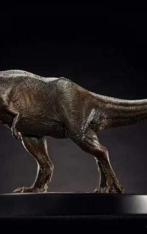 Official W-Dragon Australian Stockist | Sugo Toys