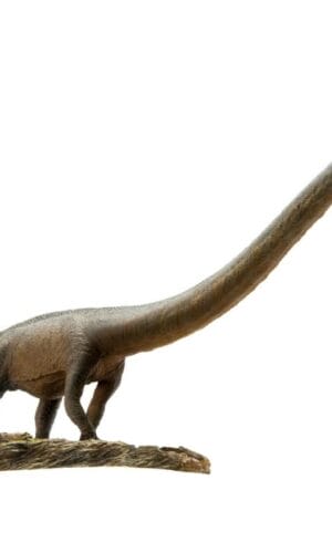 PNSO Dinosaurs Museum Erma The Mamenchisaurus 1/35 Scale - Sugo Toys ...