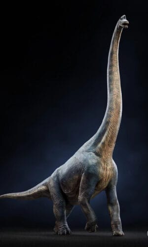 Official W-Dragon Australian Stockist | Sugo Toys