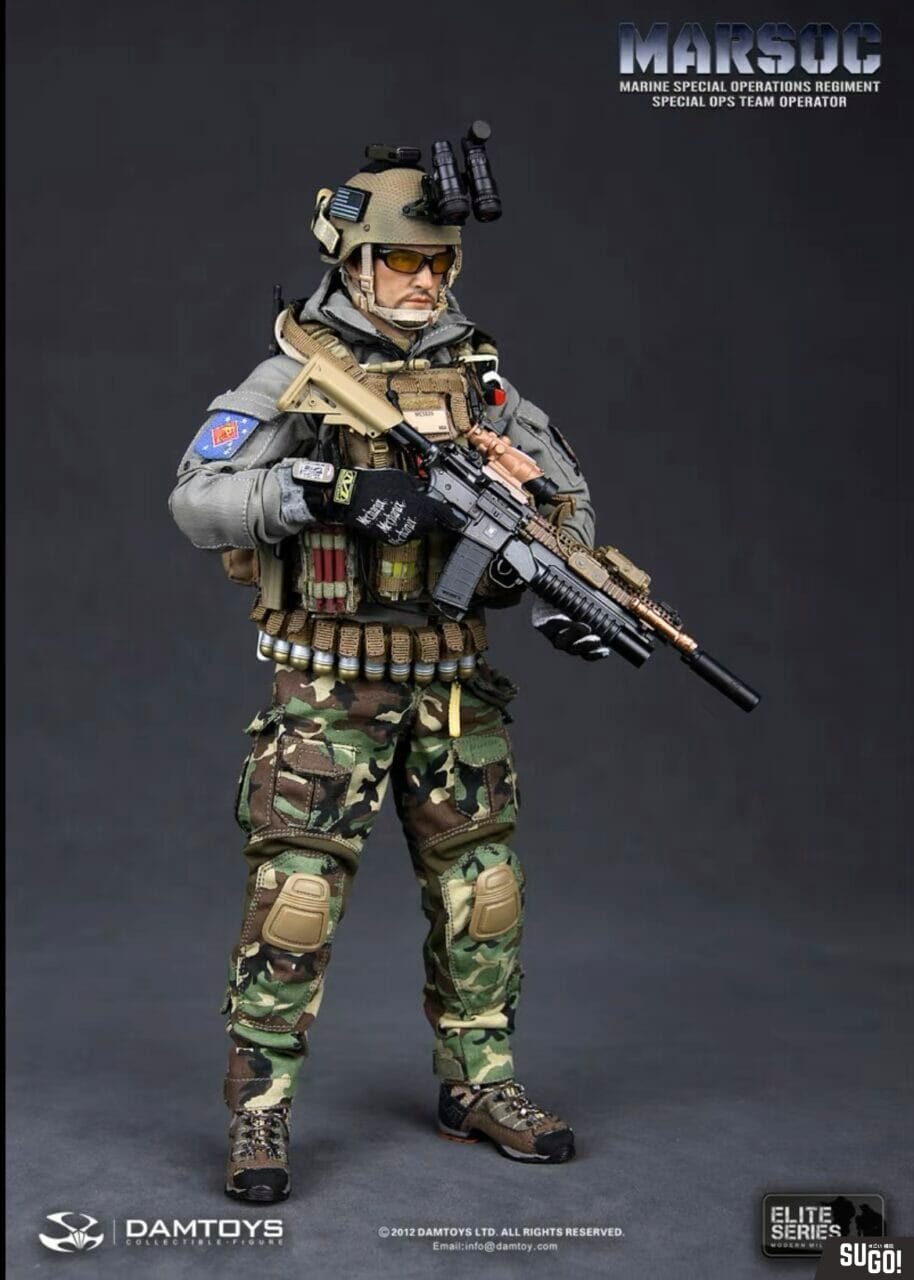 [BOX DAMAGED] Damtoys 1/6 Marsoc Special Ops Team Operation Action ...