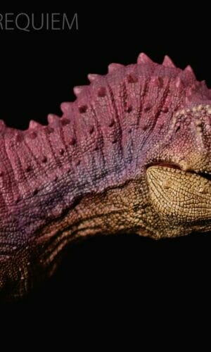 Rebor Carnotaurus rex "Crimson King Requiem" (Plain Variant) Museum ...