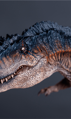 Official W-Dragon Australian Stockist | Sugo Toys