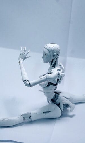 Bone Shell Workshop Bony Shell A Courtesan 1/6 Action Figure - Sugo ...