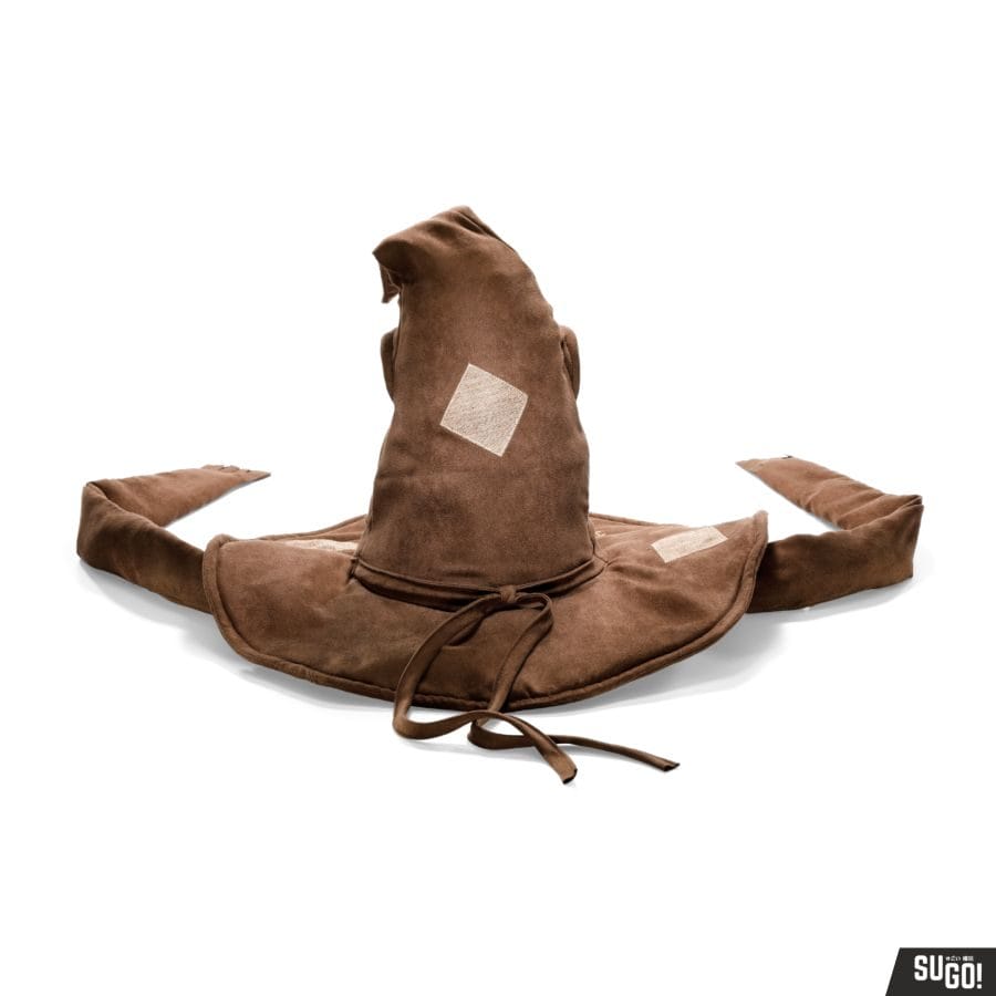 Noble Collection Harry Potter - Electronic Interactive Sorting Hat ...